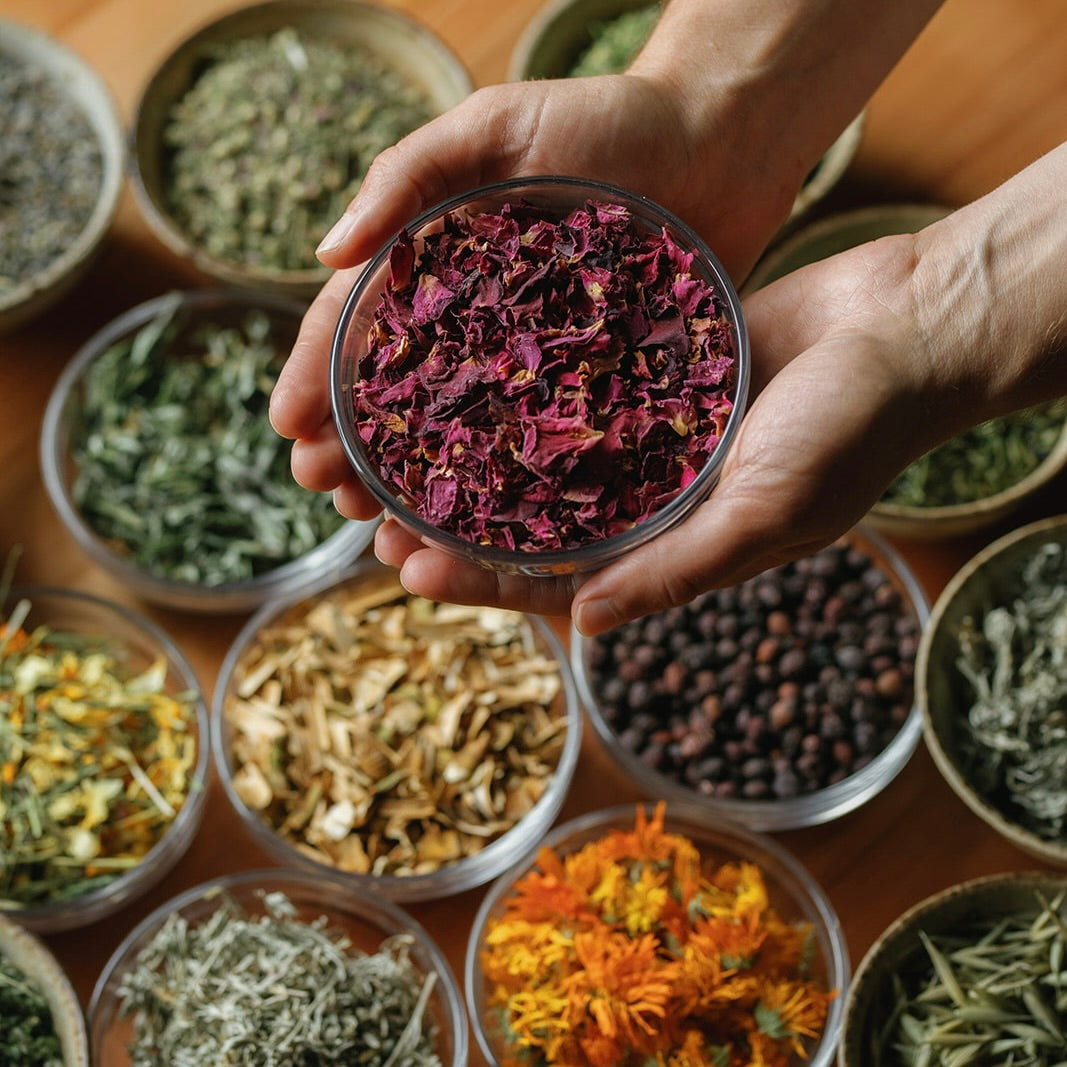 Organic Bulk Dried Herbs – Ancient Origins Apothecary