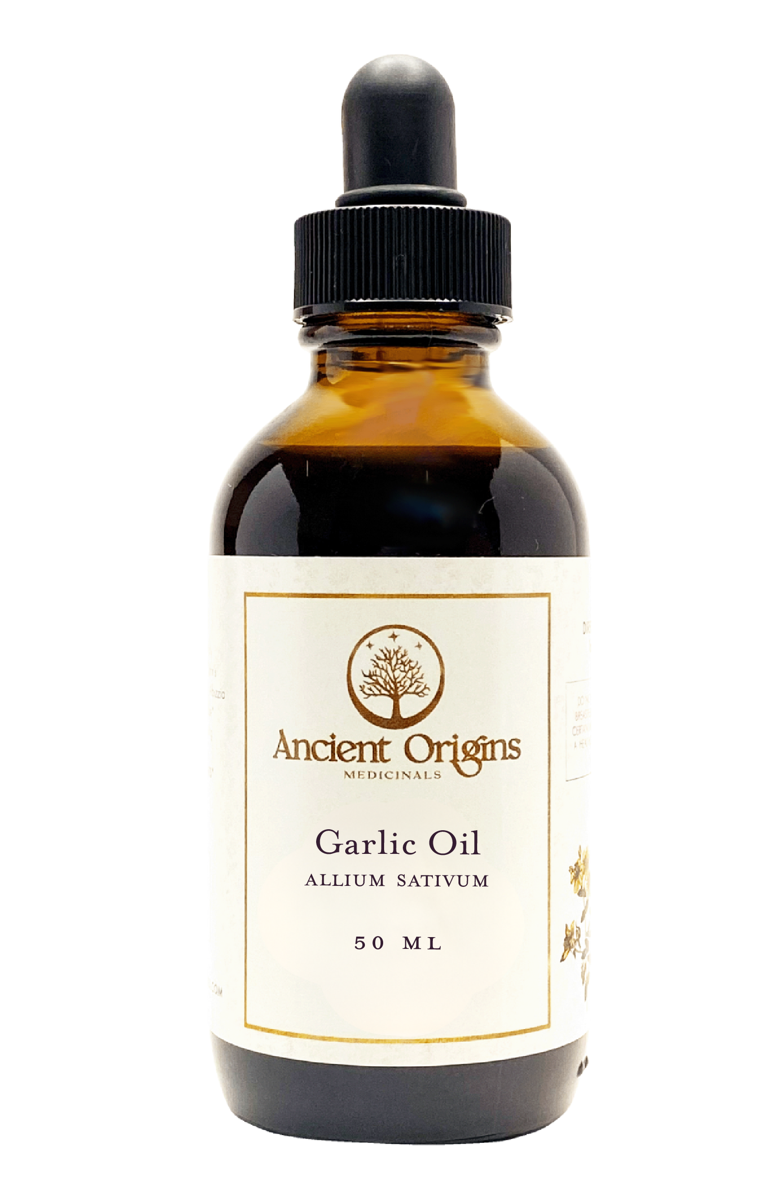 Garlic Infused Oil – Ancient Origins Apothecary